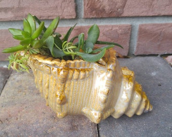 Conch shell planter | Etsy
