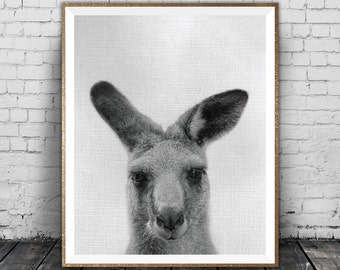 Kangaroo nursery | Etsy