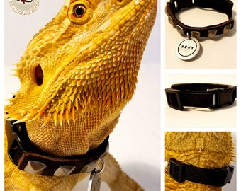 Beware of Bearded Dragon Vinyl Decal