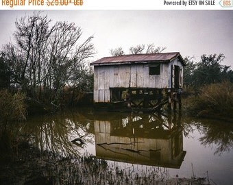 Unique bayou decor related items | Etsy