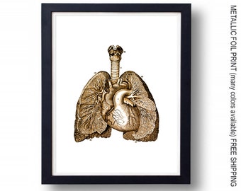 Lungs | Etsy