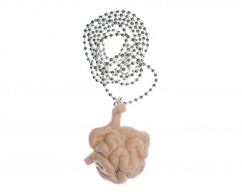 Small intestine | Etsy