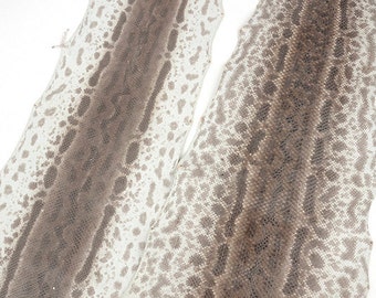 Real snake skin | Etsy