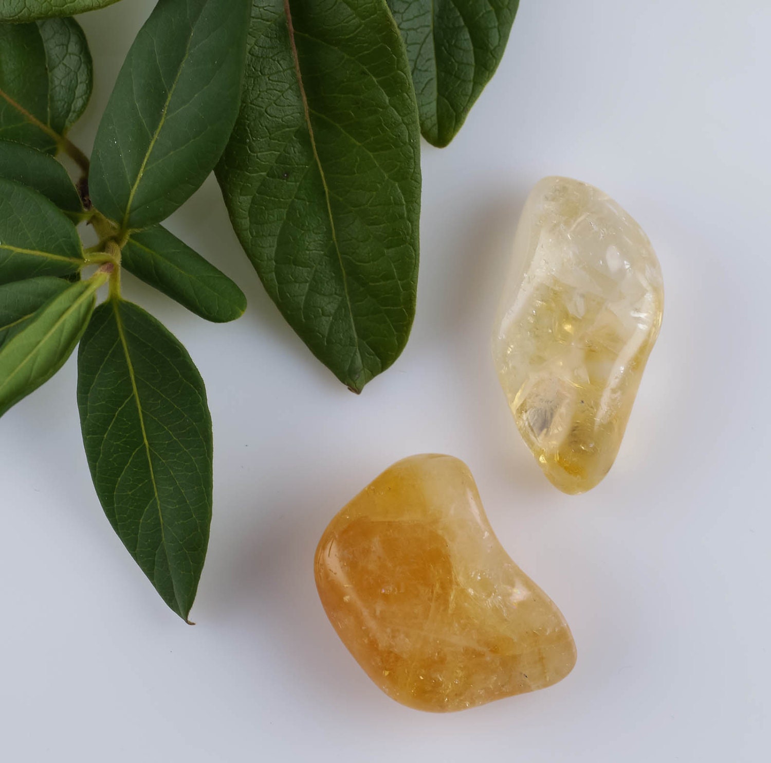 Two Large Yellow CITRINE Crystal Tumbled Stones Citrine