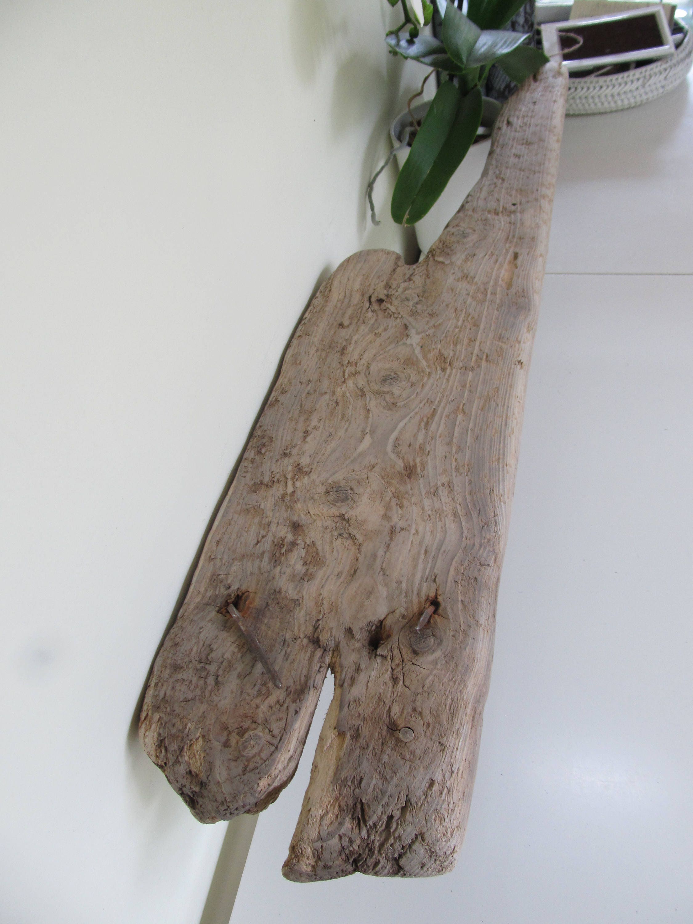 DIY Unique Driftwood Shelf . Large Driftwood . Very Old