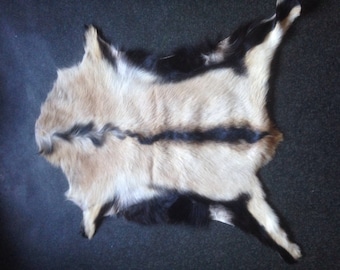 Goat skin | Etsy