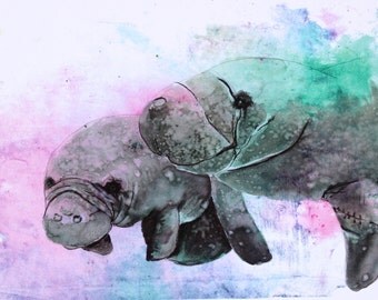Manatee watercolor | Etsy