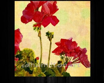 Geranium print | Etsy