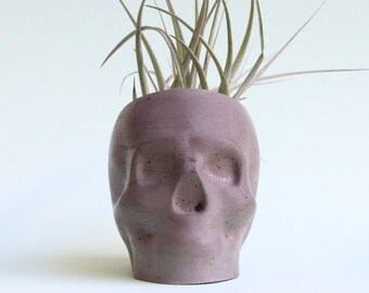 Skull plant pot | Etsy