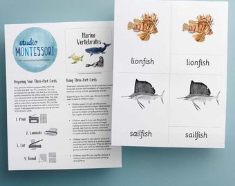 DGITAL PDF file SPANISH Wild Animals Montessori 3 Part