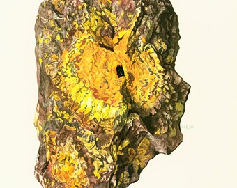 1970 Illustration Cinabre Mercure Planche par sofrenchvintage