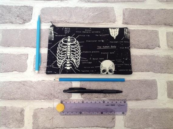 anatomy pencil case school supplies skeleton pencil case