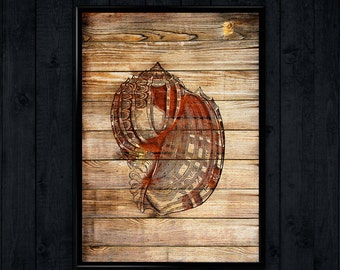 Engraved shell | Etsy