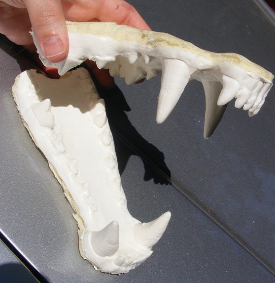 Werewolf wolf jaws teeth mask costume fursuit