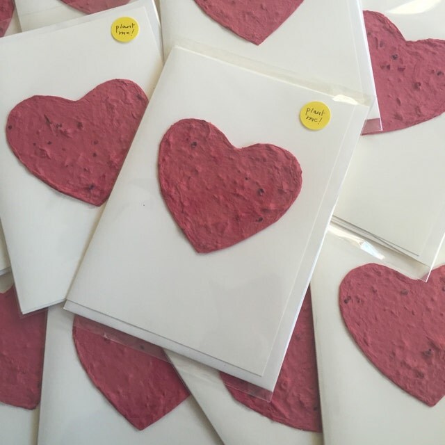 Plantable paper pressed flower art seed bombs by PulpArt on Etsy