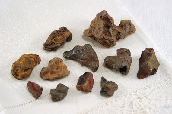 11 ironstone rock nodules and concretions. limonite hematite