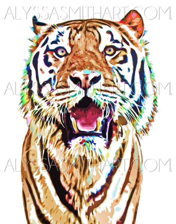 Multi-Color Tiger Print