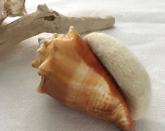 Felt seashells | Etsy