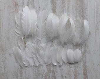 Swan feathers | Etsy