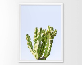 Cactus poster | Etsy