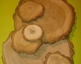 Tree trunk slices | Etsy