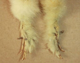 Hoodoo chicken feet | Etsy