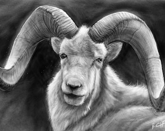 Sheep drawing | Etsy