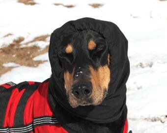 Hund snood | Etsy