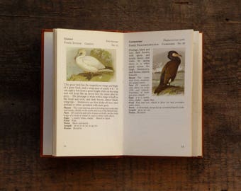 Vintage bird book | Etsy