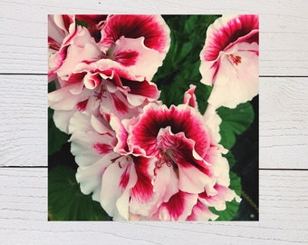 Geranium print | Etsy