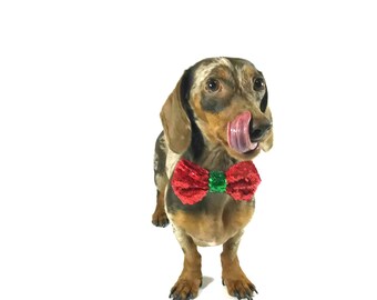 Dog christmas | Etsy