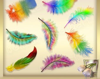 Colorful feather art | Etsy
