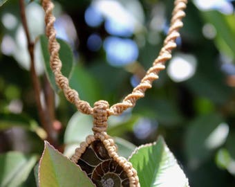 Ammonite | Etsy