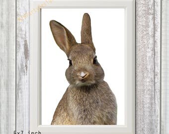 Rabbit print | Etsy