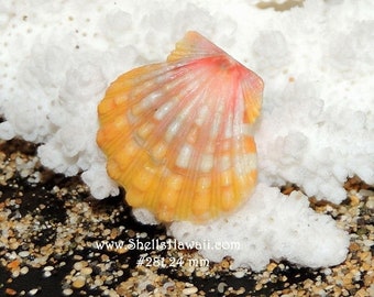 Hawaiian Heirloom jewelry. Made with aloha...by by ShellsHawaii