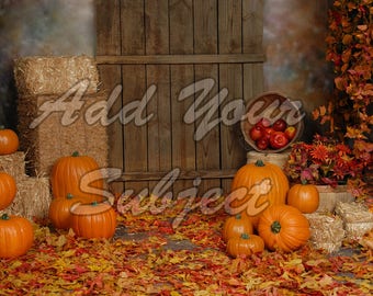 Doll Scene Backdrop Folding Reversible Summer Garden to