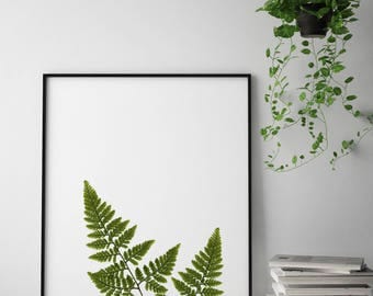 Fern Wall Decal Large Leaf Decals Vinyl Wall Decal Leaves