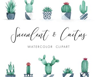 Cactus clipart | Etsy