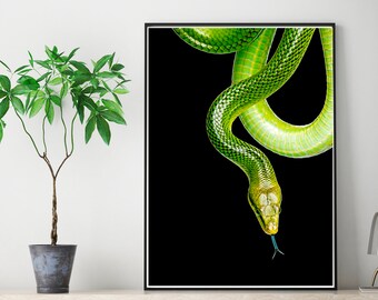 Snake wall art | Etsy