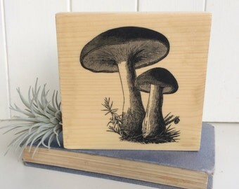 Mushroom drawing | Etsy