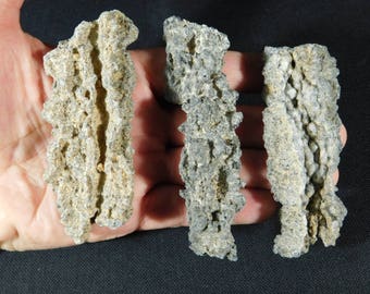 Fulgurite | Etsy