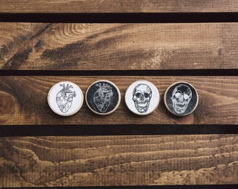 Skull kitchen decor | Etsy
