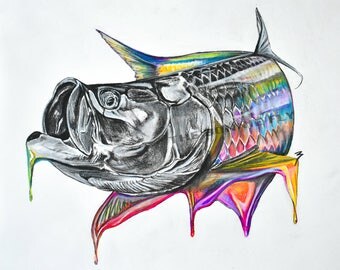 Tarpon drawing | Etsy