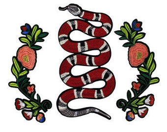 Awesome Royal Ball Python Snake Python regius