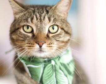 Reversible Quality KittyWear Cat Harness D Ring optional