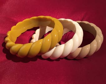 Let's Talk Biology and Biography eBook Waldorf Inspired