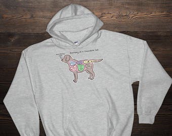 Chocolate lab | Etsy