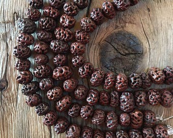 Bodhi tree seeds | Etsy