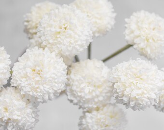 White aster flowers | Etsy