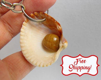 Natural sea shells | Etsy